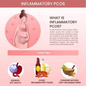 4 Types of PCOS : Know Which One You Have {Take this Easy Quiz}